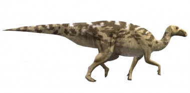 El análisis de fósiles de hadrosaurios en Cataluña revela la edad de su ...